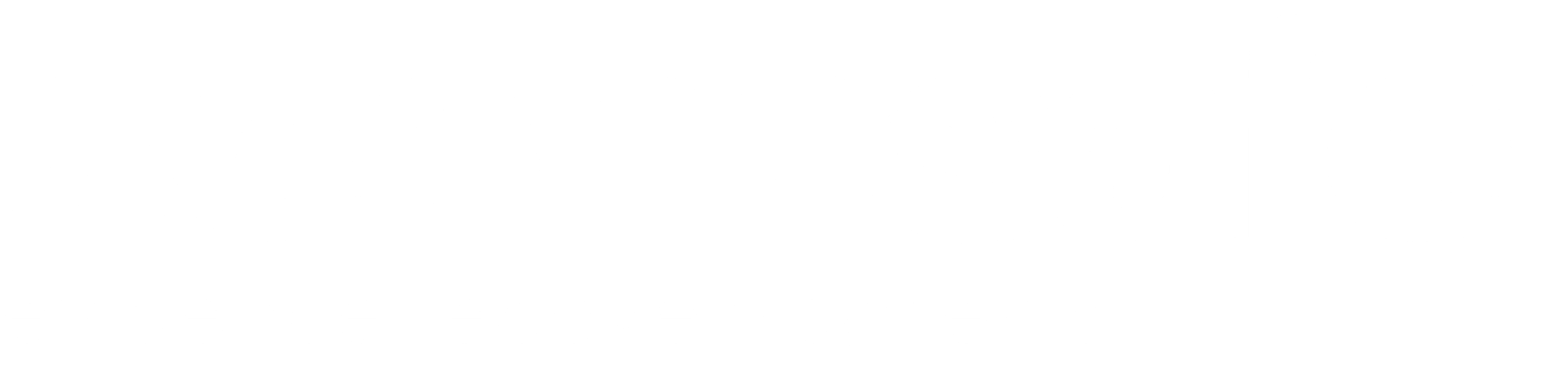 About Us — SceneSafe