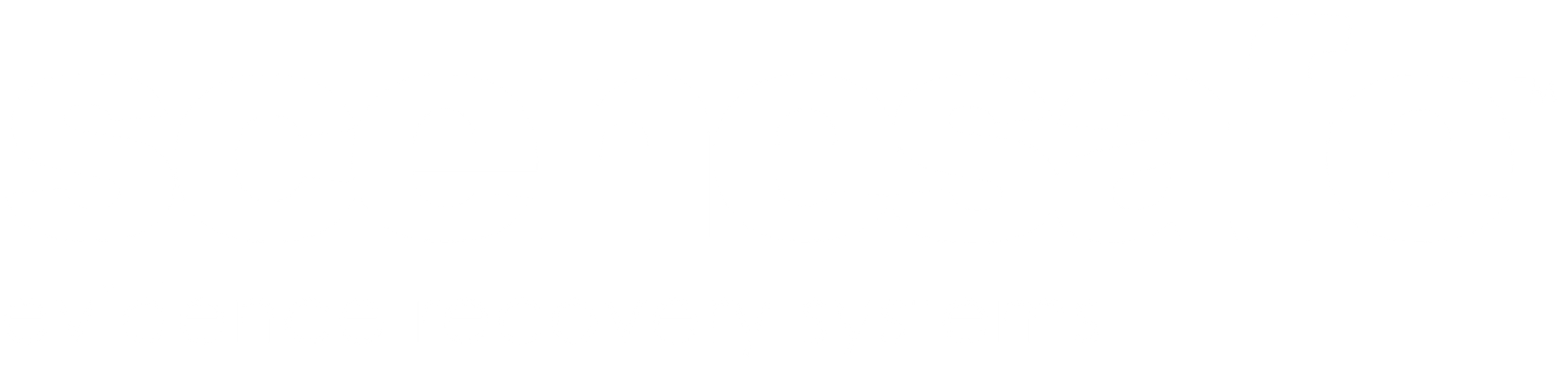 Evidence Storage — SceneSafe