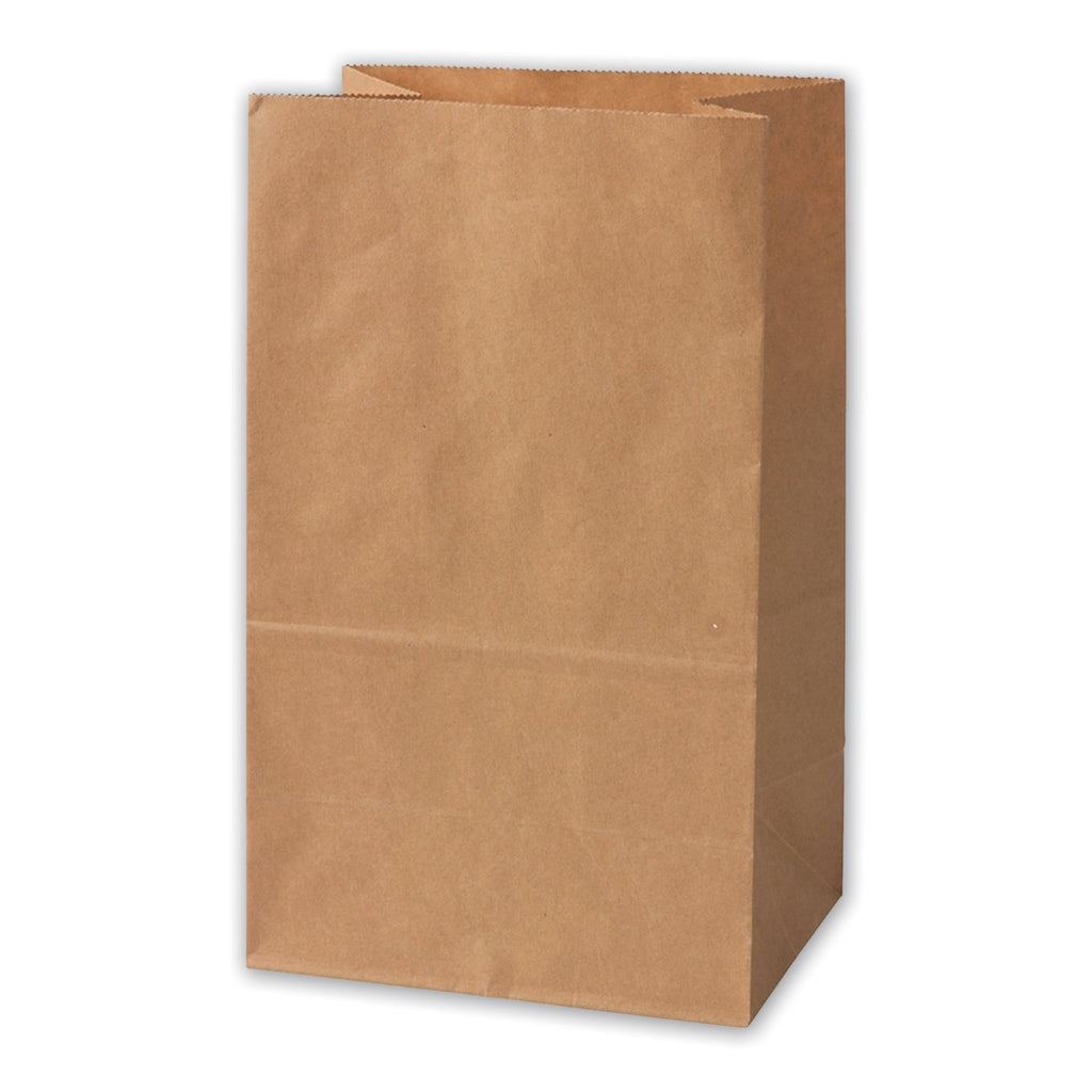 Evidence Paper Sacks — SceneSafe