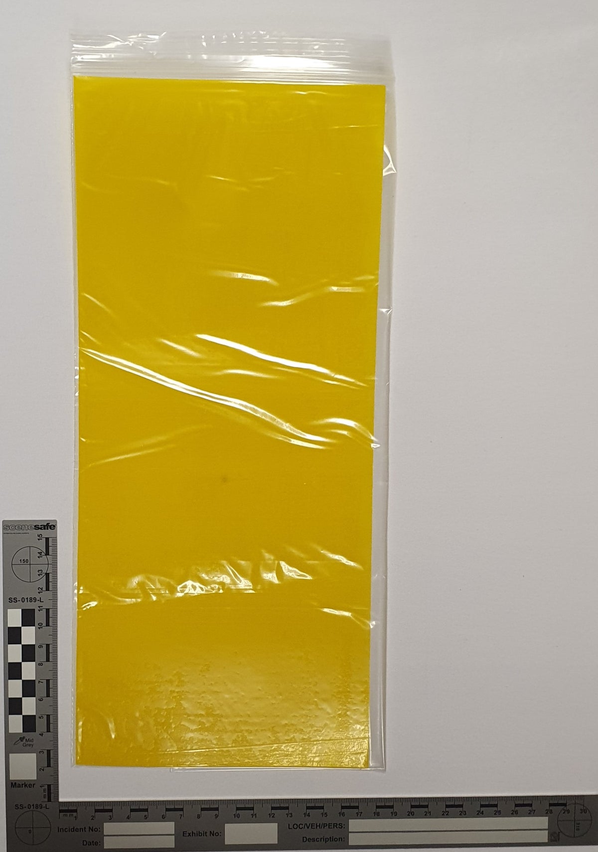 Shoeprint replacement coater 15" x 6.5" — SceneSafe